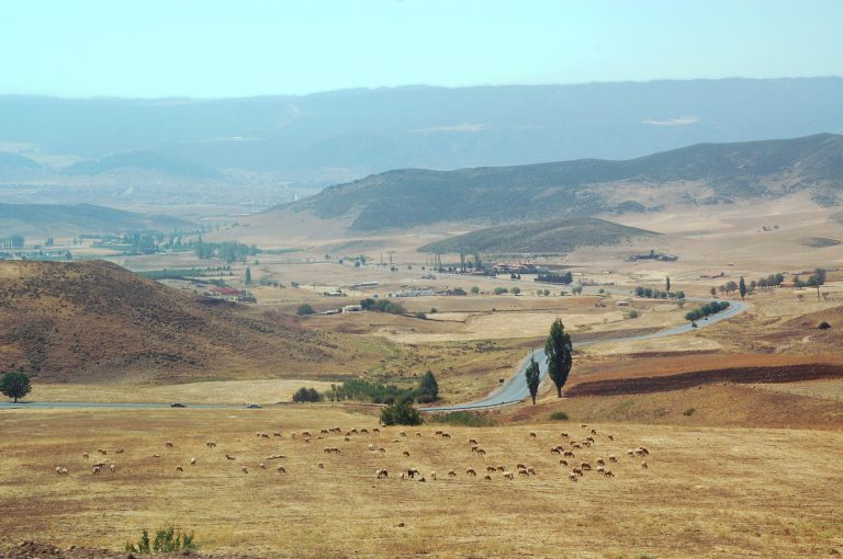 Lilongwe Travel Blog. - Travel Center Blog