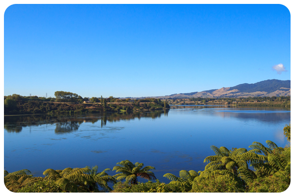 The Most Stunning Locations in Hamilton, New Zealand.