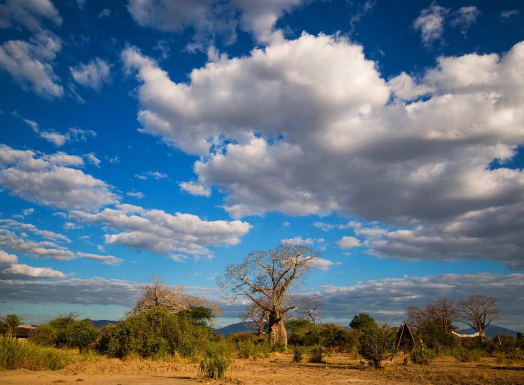 Malawi, The Warm Heart of Africa – Where to See It’s Incredible Wildlife.