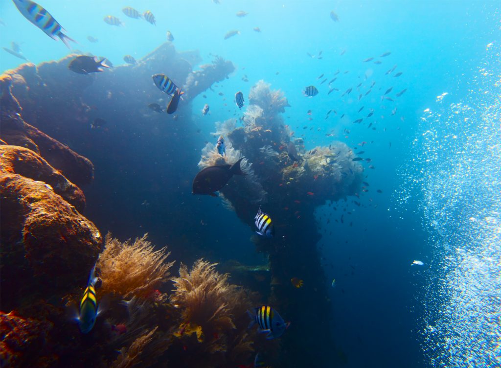 Top 10 scuba diving spots around the world
