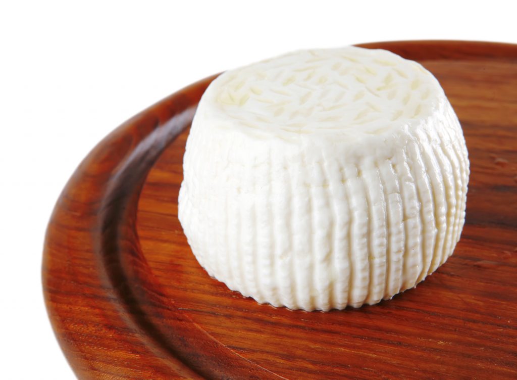 Explore Cheese All Around The World