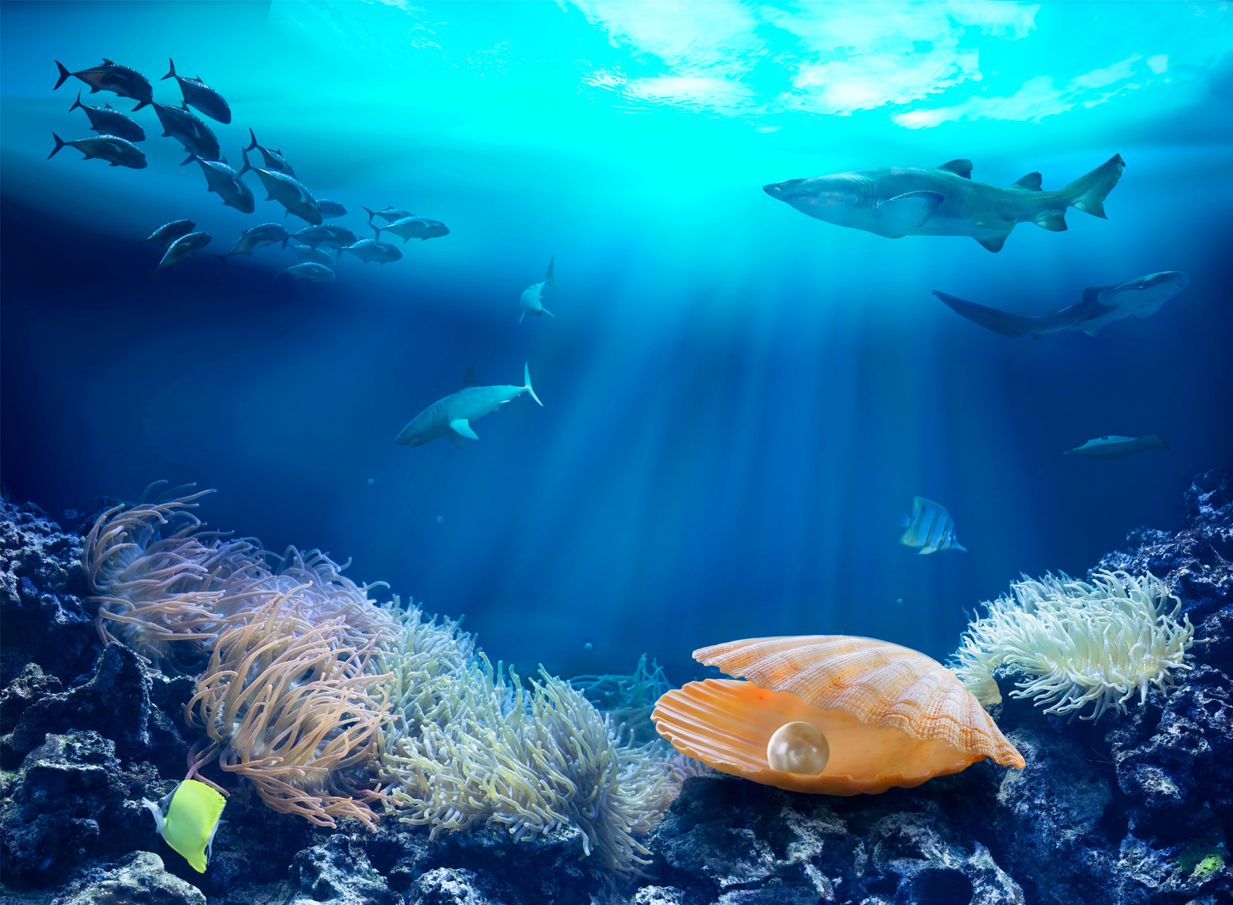 5 Great Reasons to Visit Bahrain