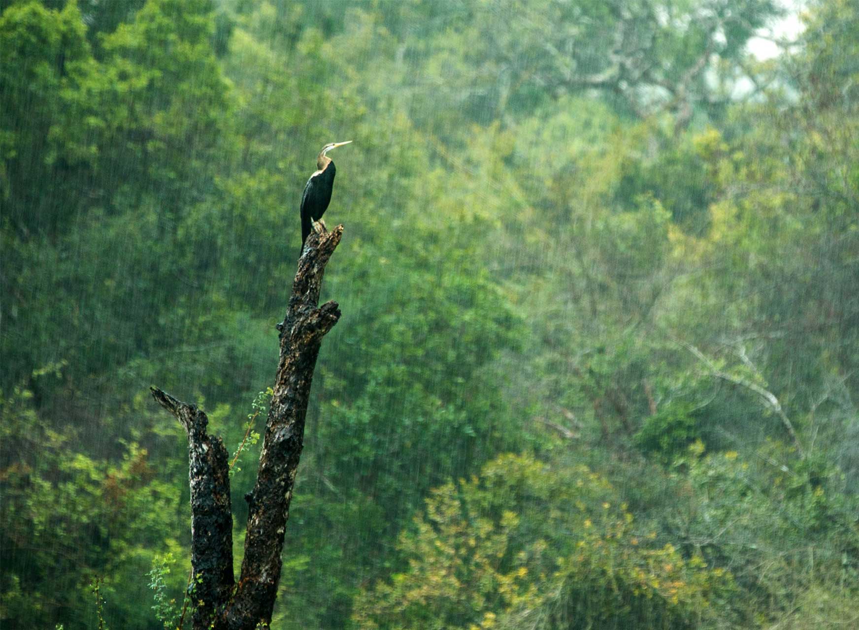 The Best Off the Beaten Paths in Sri Lanka