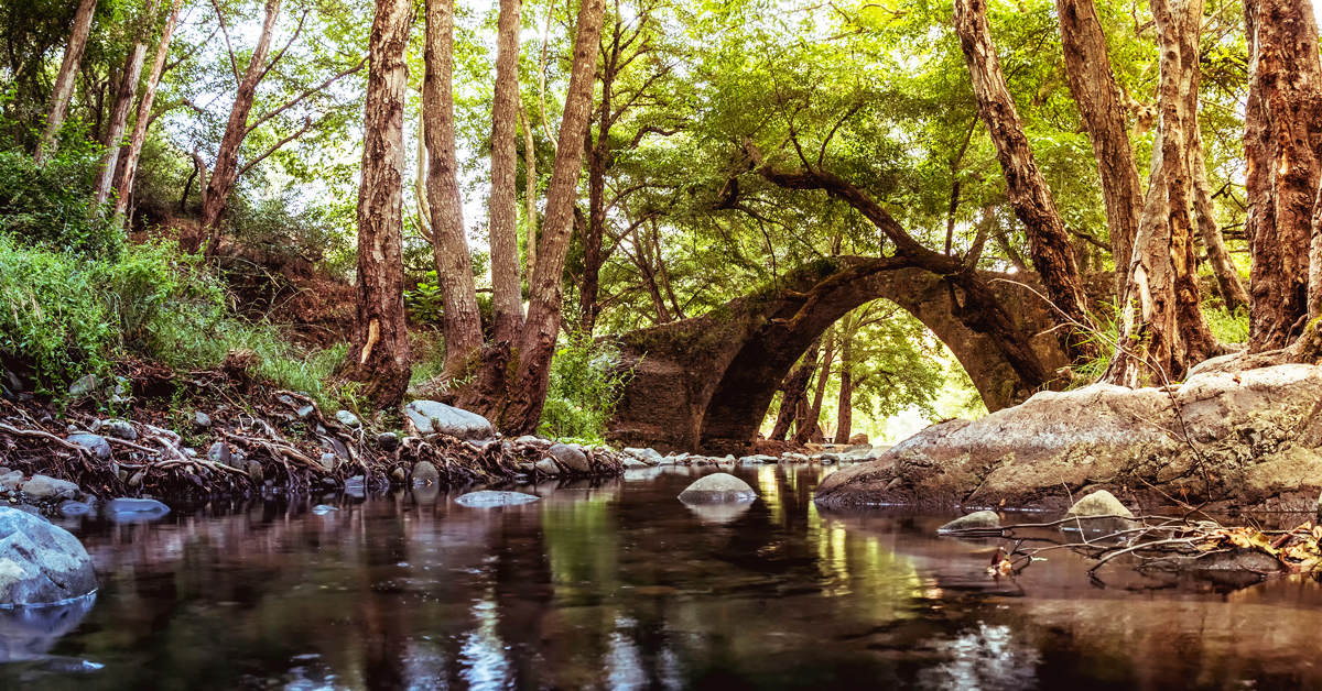 Holidays to Cyprus: The Wilderness of Mediterranean! - Travel Center Blog