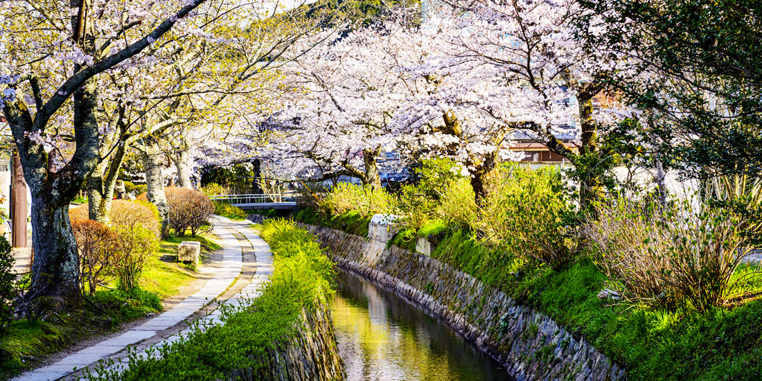 The world's most beautiful streets that will please your eyes & melt ...