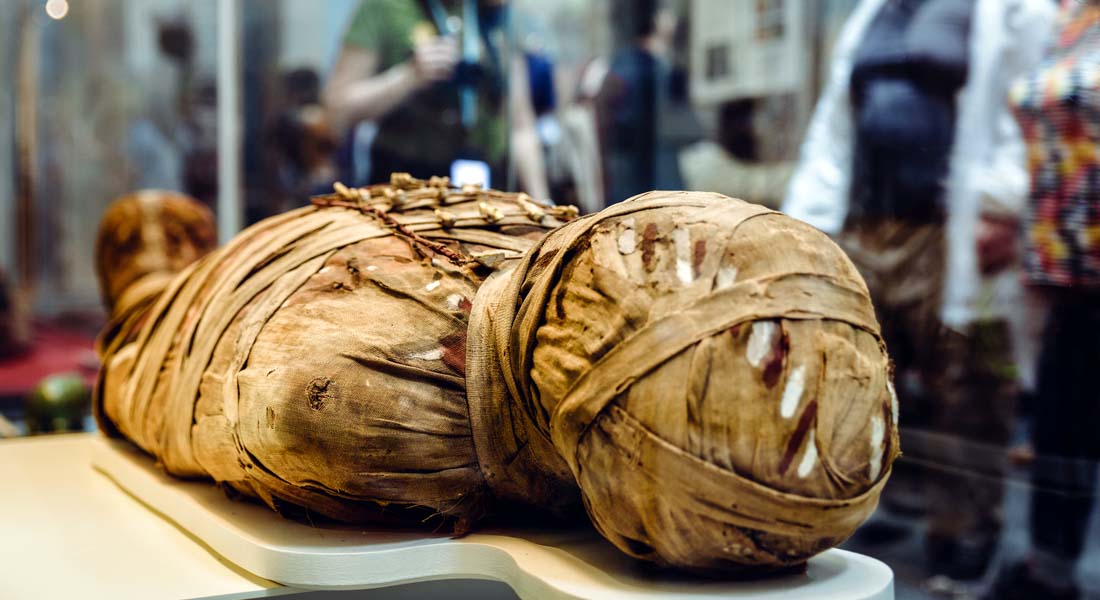 10 Wonderfully Unique / Weird Museums Around the World