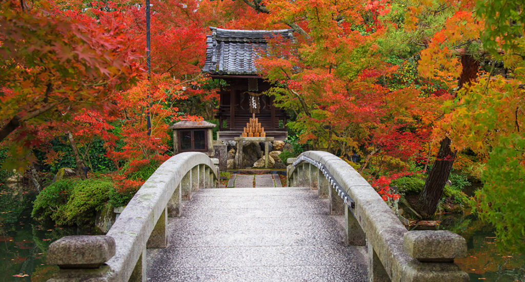 Japan in October: The Best Time to Travel & Here’s Why